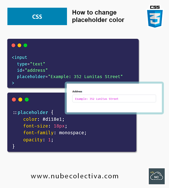 How To Change Placeholder Color With CSS Nube Colectiva